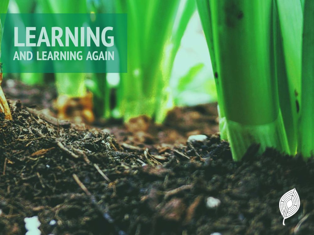 Learning and Learning Again – Matthew Root