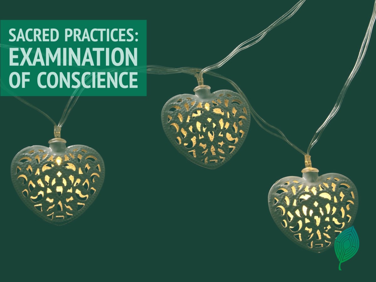 Examination of Conscience – Matthew Root