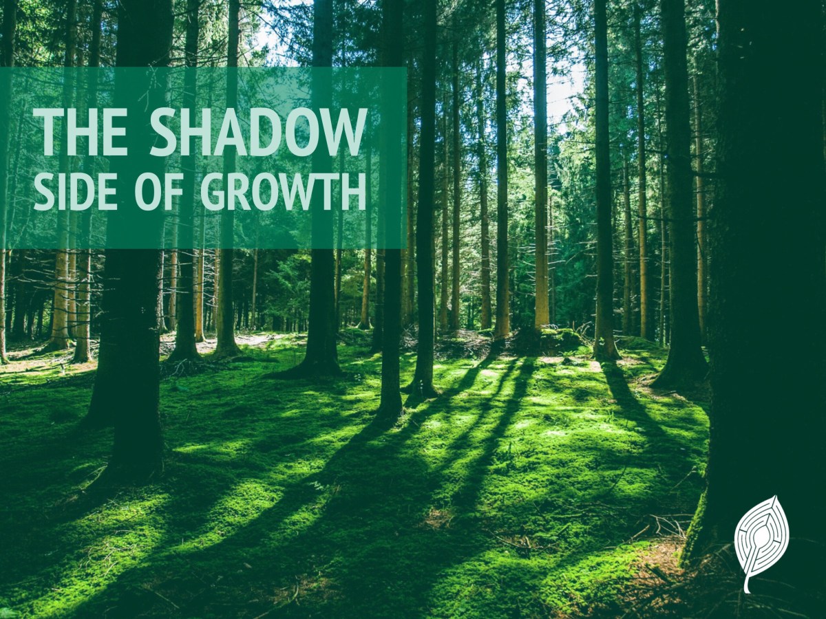 The Shadow Side of Growth – Matthew Root