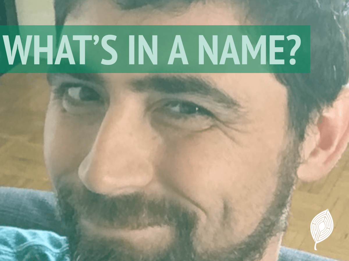 What’s in a Name? – Matthew Root