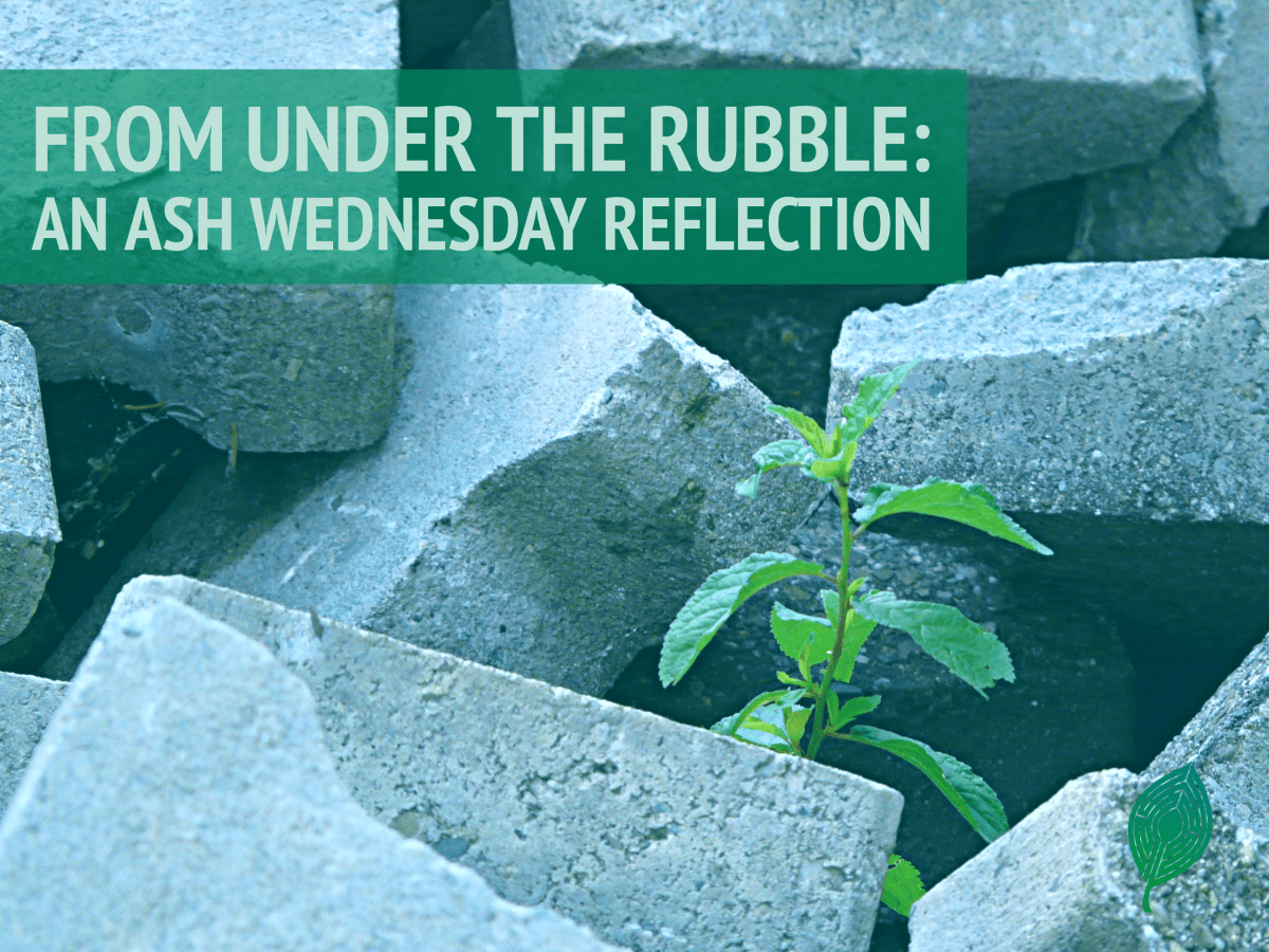 From Under the Rubble – Matthew Root