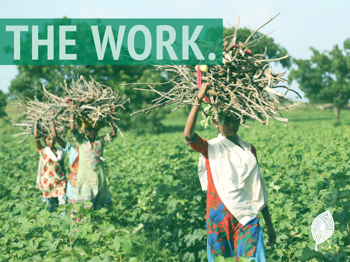 The Work – Matthew Root