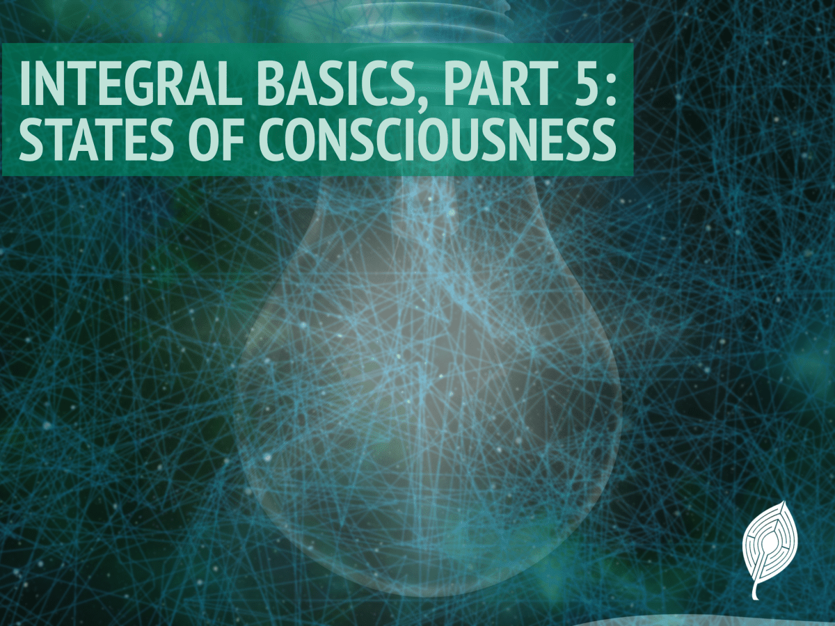 Integral Basics, Part 5: States of Consciousness – Matthew Root