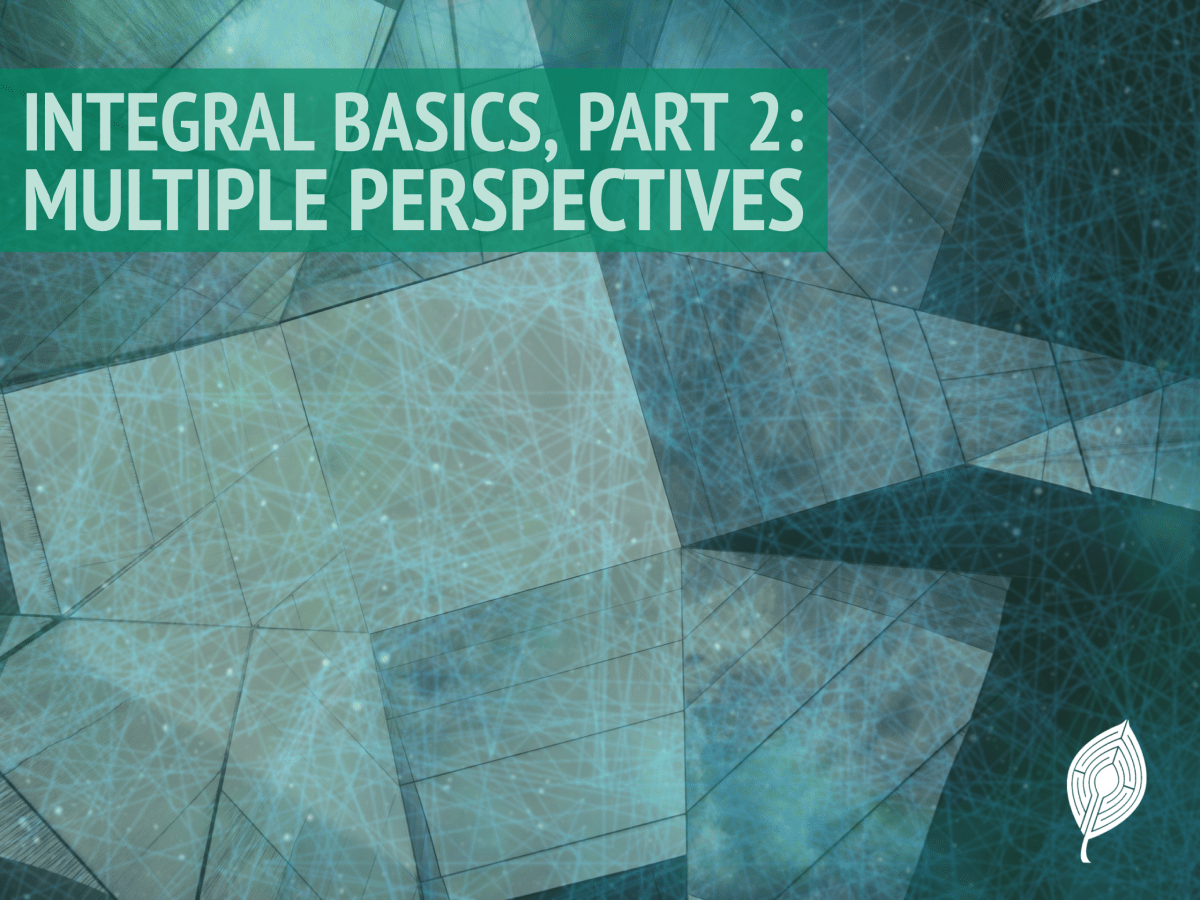 Integral Basics, Part 2: Multiple Perspectives – Matthew Root