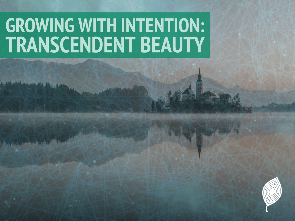 Growing with Intention: Transcendent Beauty – Matthew Root