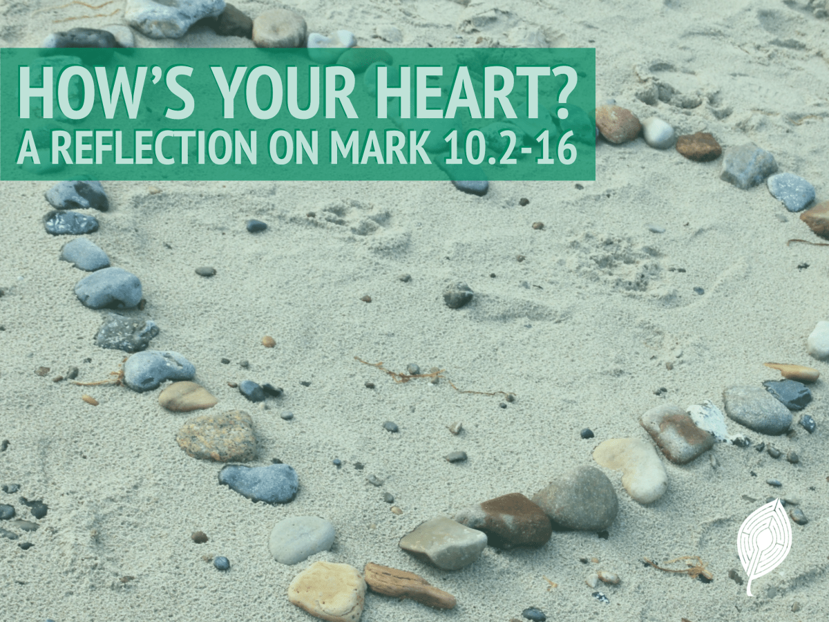 How’s Your Heart? A Reflection on Mark 10.2-16 – Matthew Root