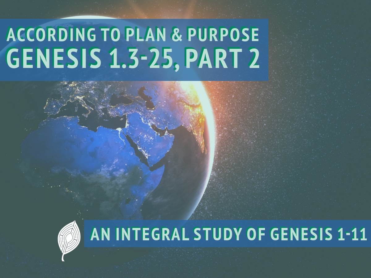 According to Plan and Purpose: Genesis 1.3-25, Part II – Matthew Root