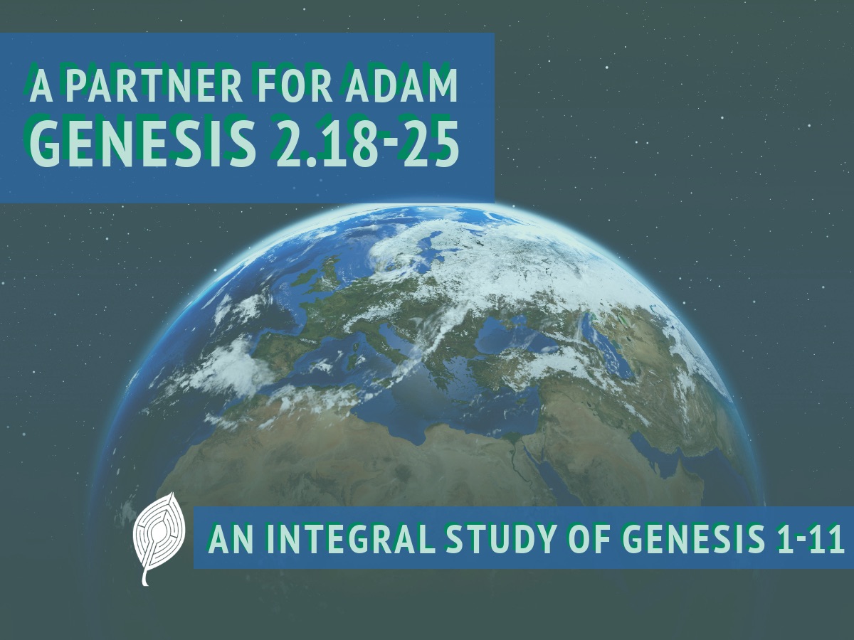 A Partner for Adam: Genesis 2.18-25 – Matthew Root