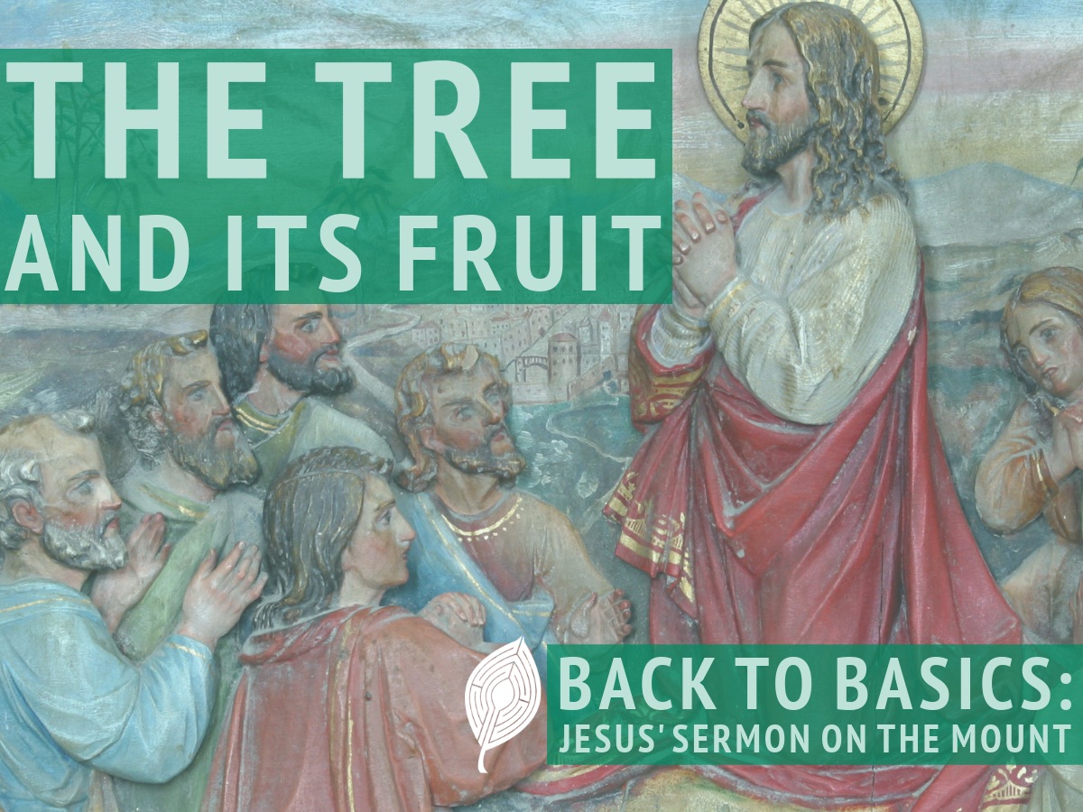 The Tree and Its Fruit – Matthew Root