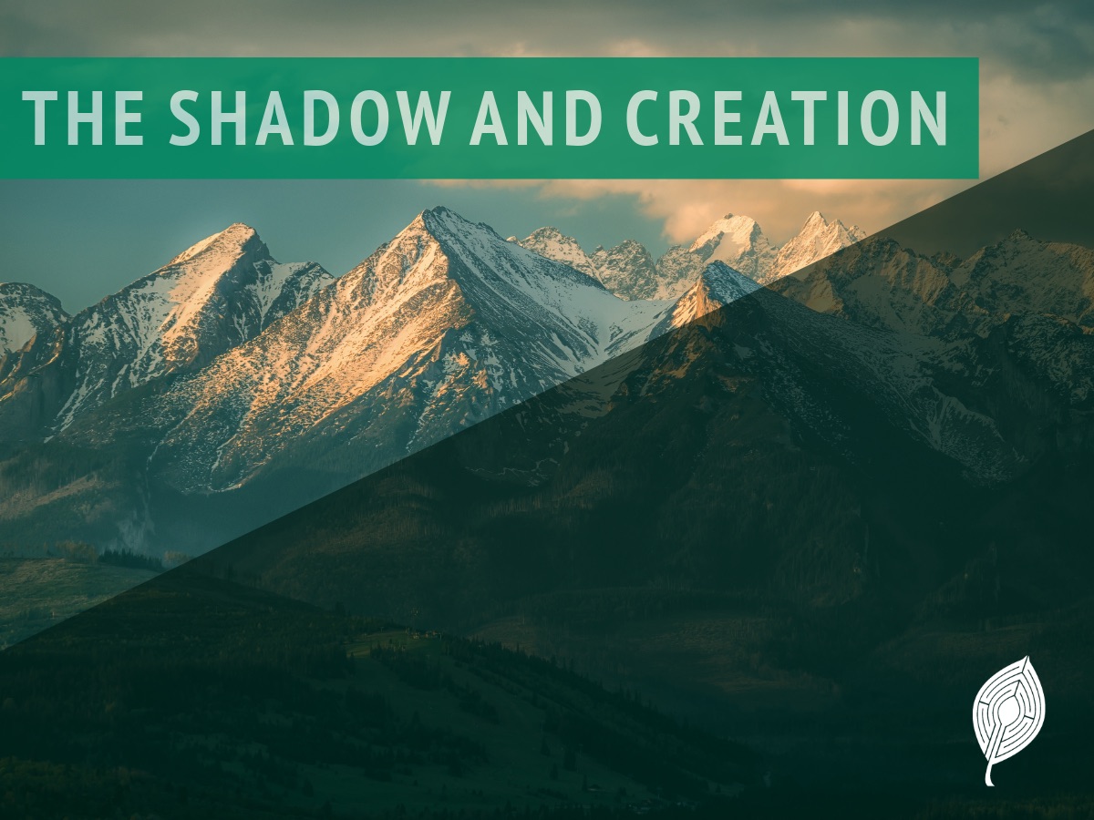 The Shadow and Creation – Matthew Root