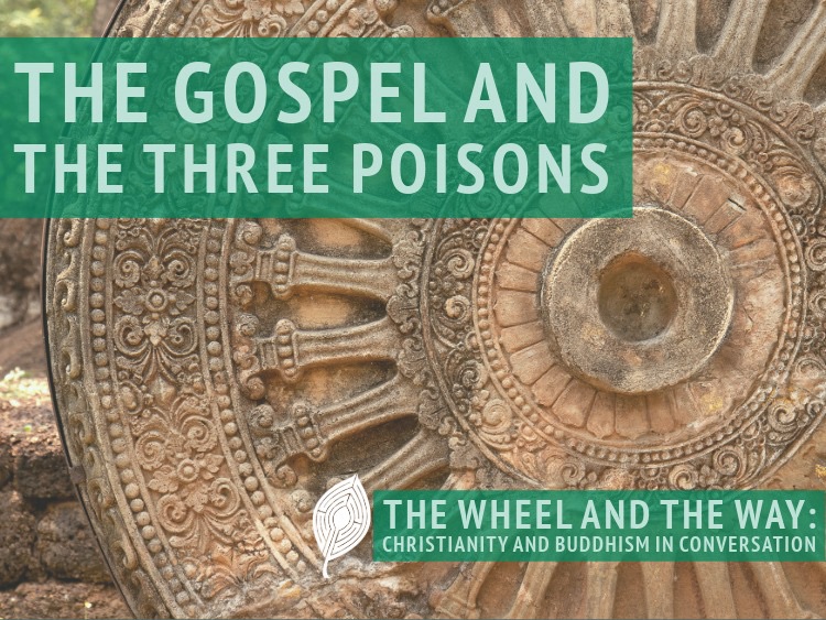 The Gospel and the Three Poisons – Matthew Root