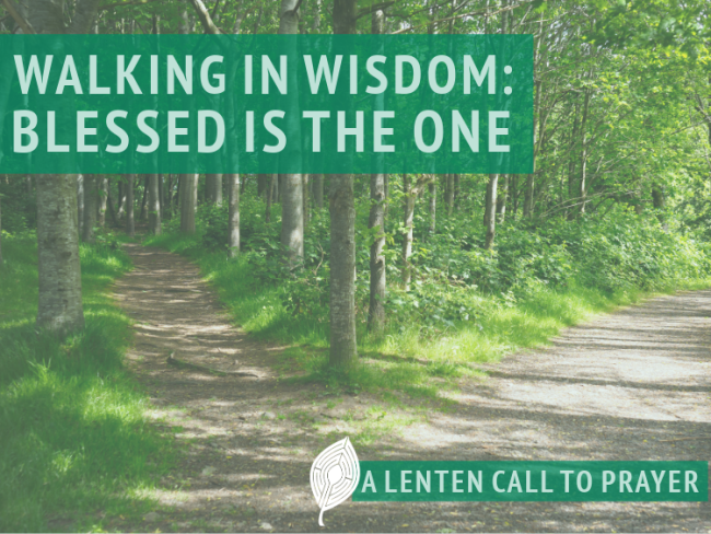 Walking in Wisdom: Blessed is the One – Matthew Root